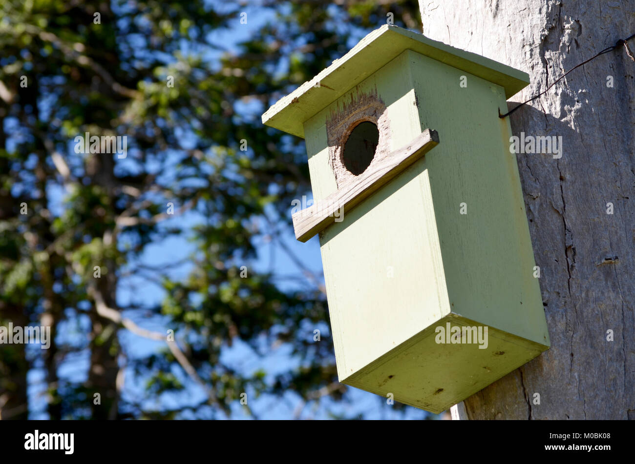 Wooden bird box Stock Photo - Alamy