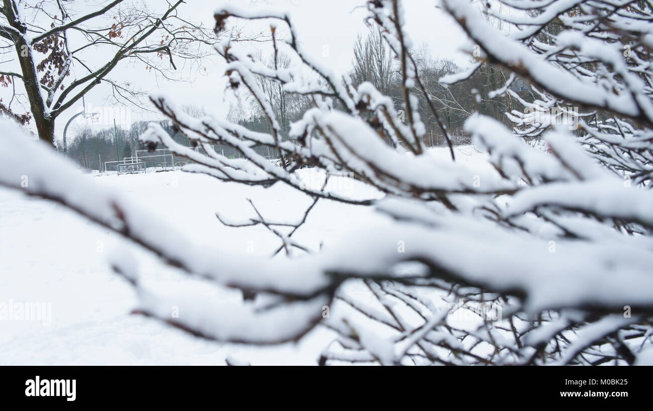 Frozen tree branch. snow on tree snow and branch texture background ...