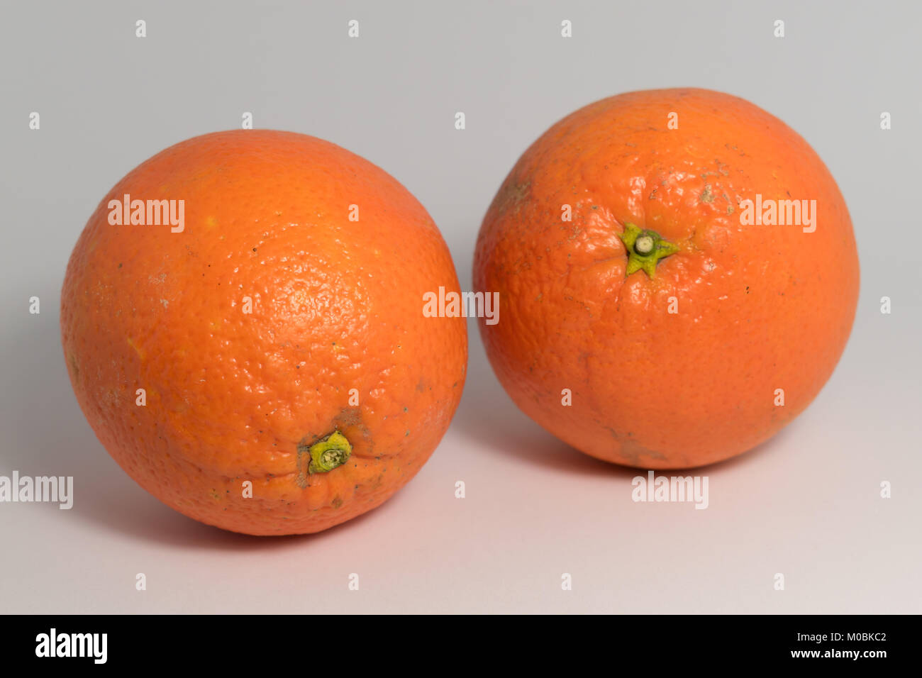 Two oranges in isolated white background Stock Photo - Alamy