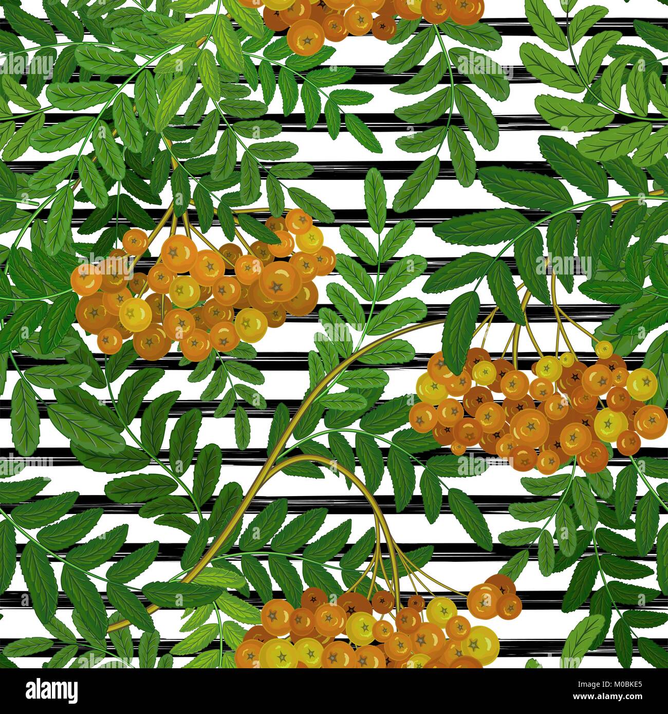 Seamless pattern with rowanberry on strips. Summer background Stock ...