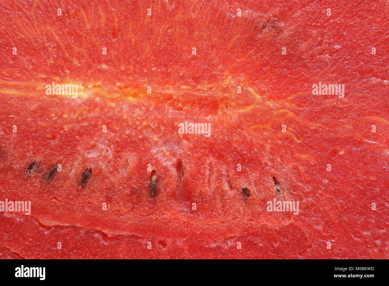 detailed closeup of watermelon Stock Photo - Alamy