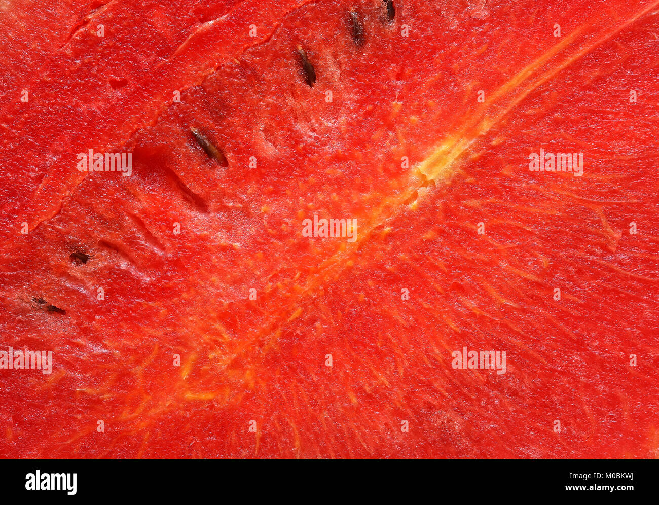 detailed closeup of watermelon Stock Photo - Alamy