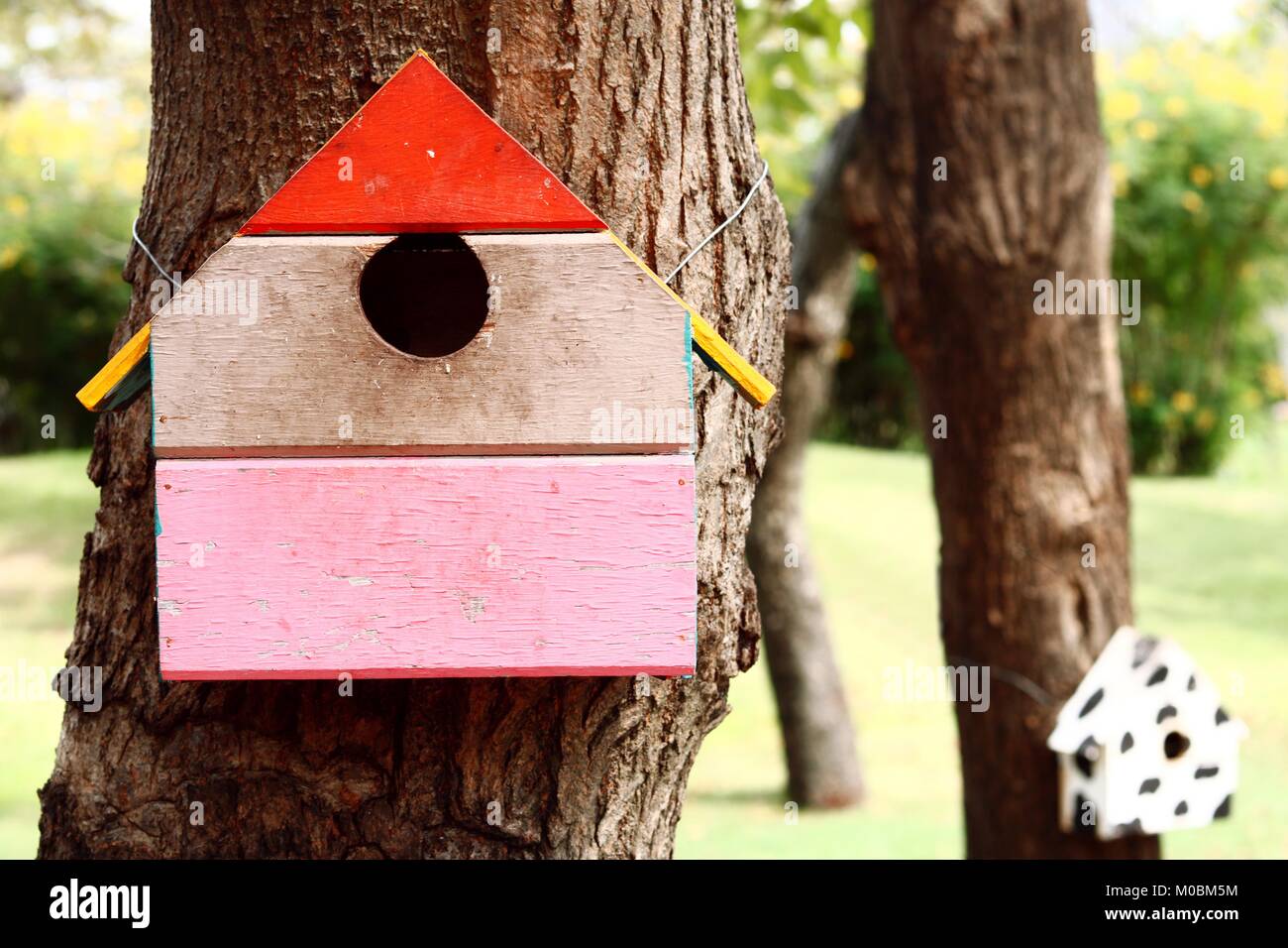 colorful bird house on the tree Stock Photo - Alamy