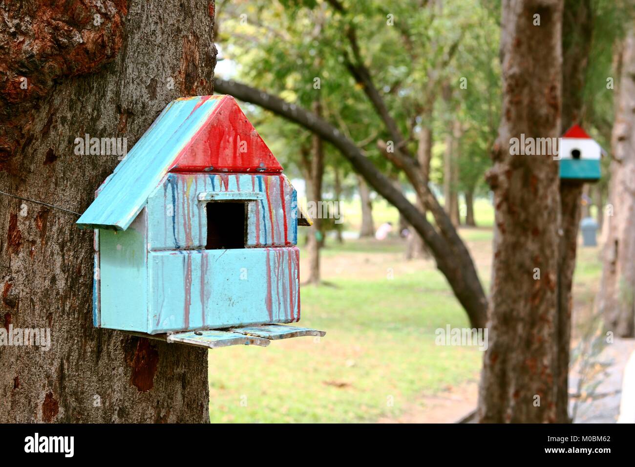 colorful bird house on the tree Stock Photo - Alamy