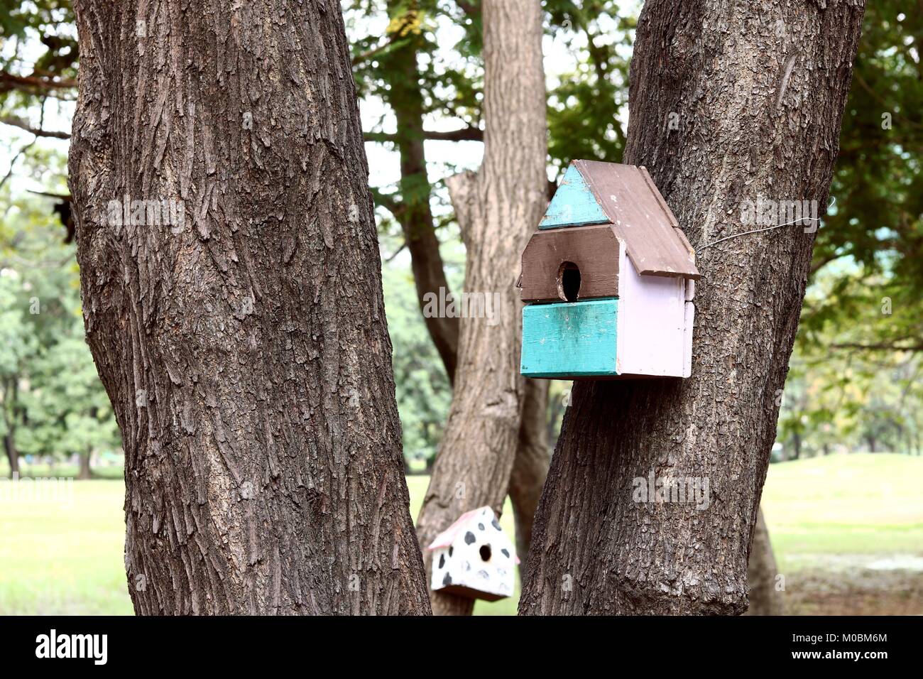 colorful bird house on the tree Stock Photo - Alamy