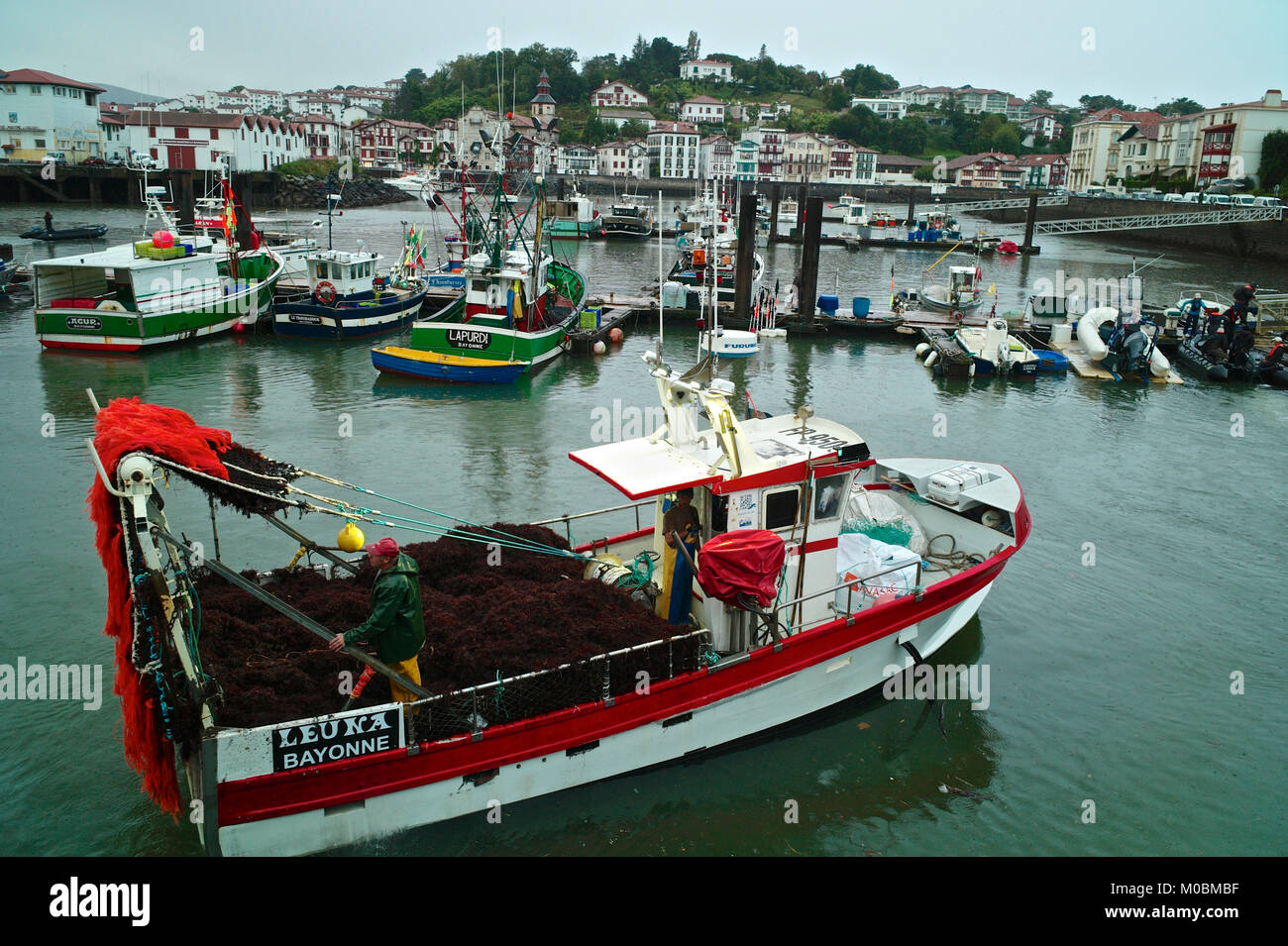 Fishing boats bringing back seaweed and algae, used as marine ...