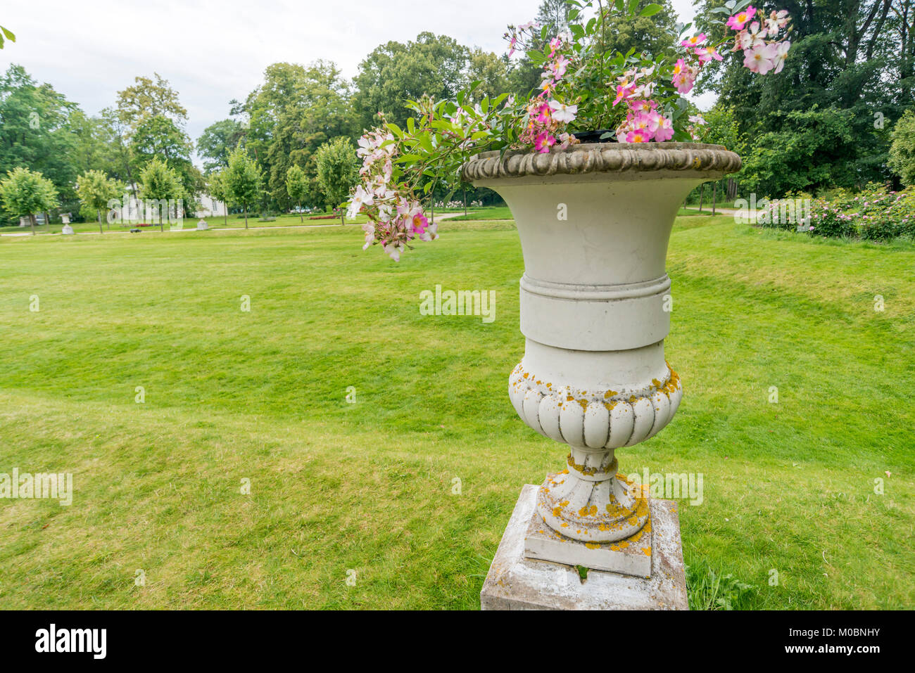 trimmed lawn and decorative flower pot in public park by summer Stock ...