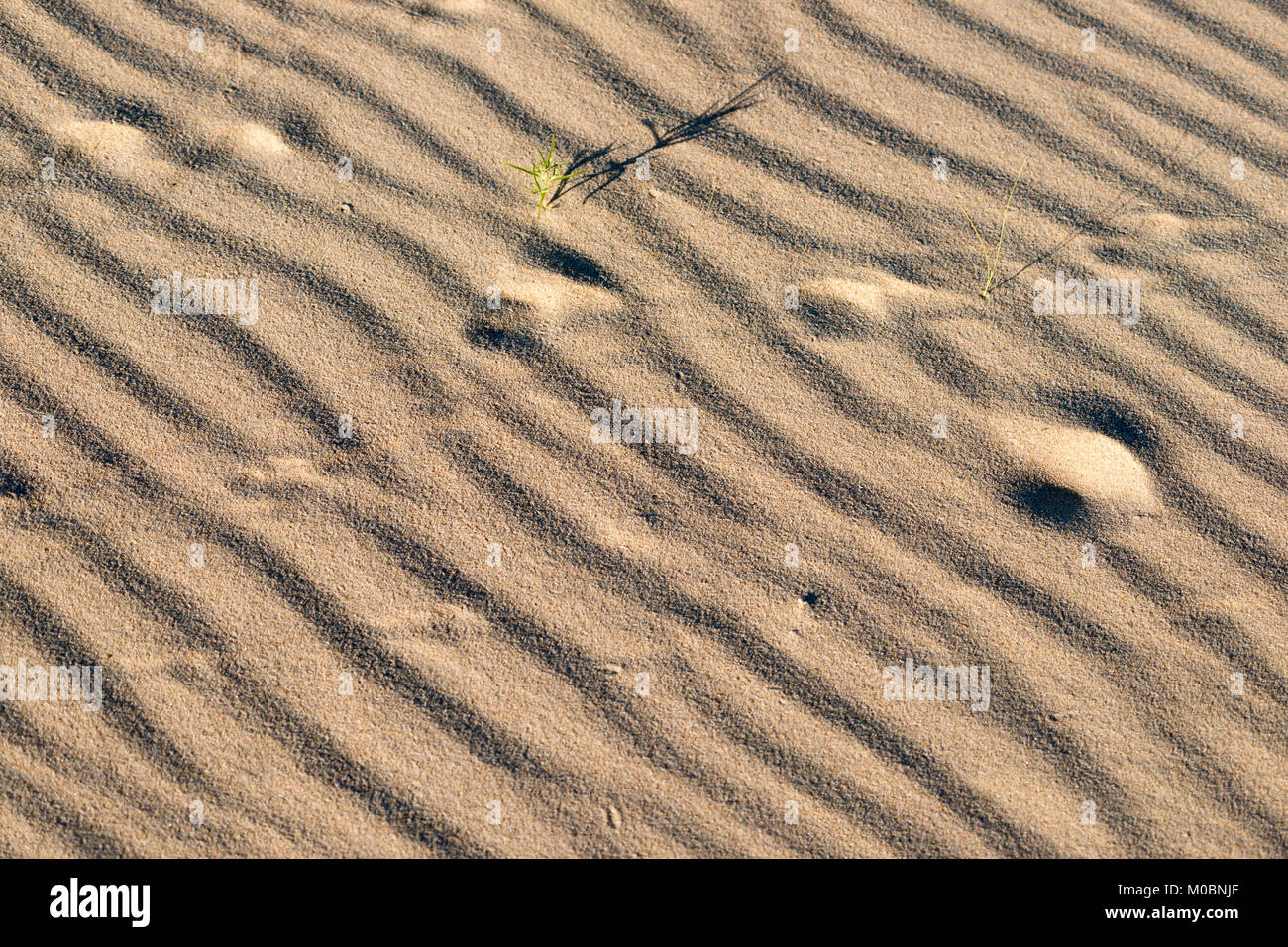 Wavy sand pattern hi-res stock photography and images - Alamy