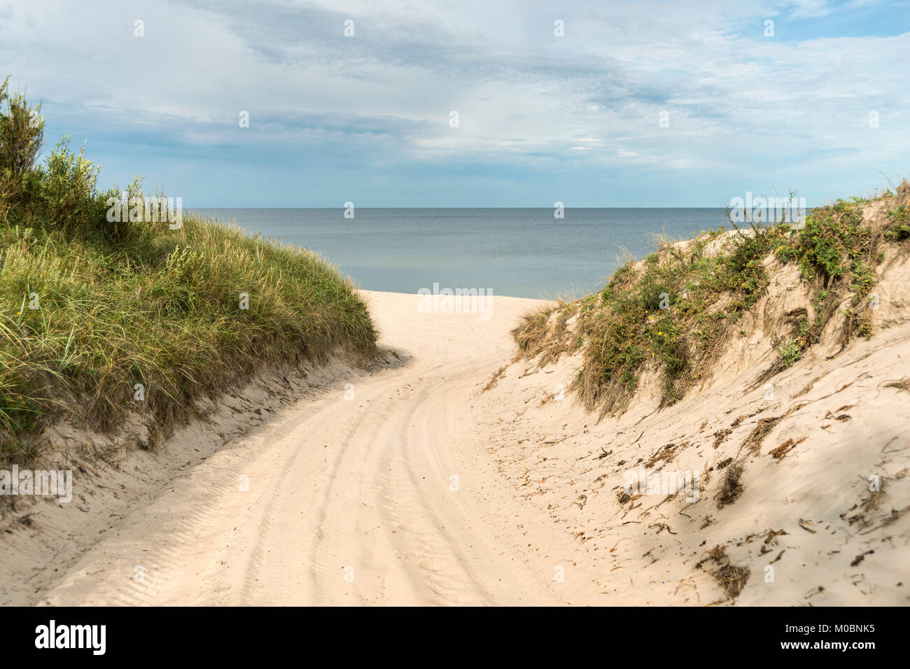 wide way in sand dunes leading to the beach Stock Photo - Alamy