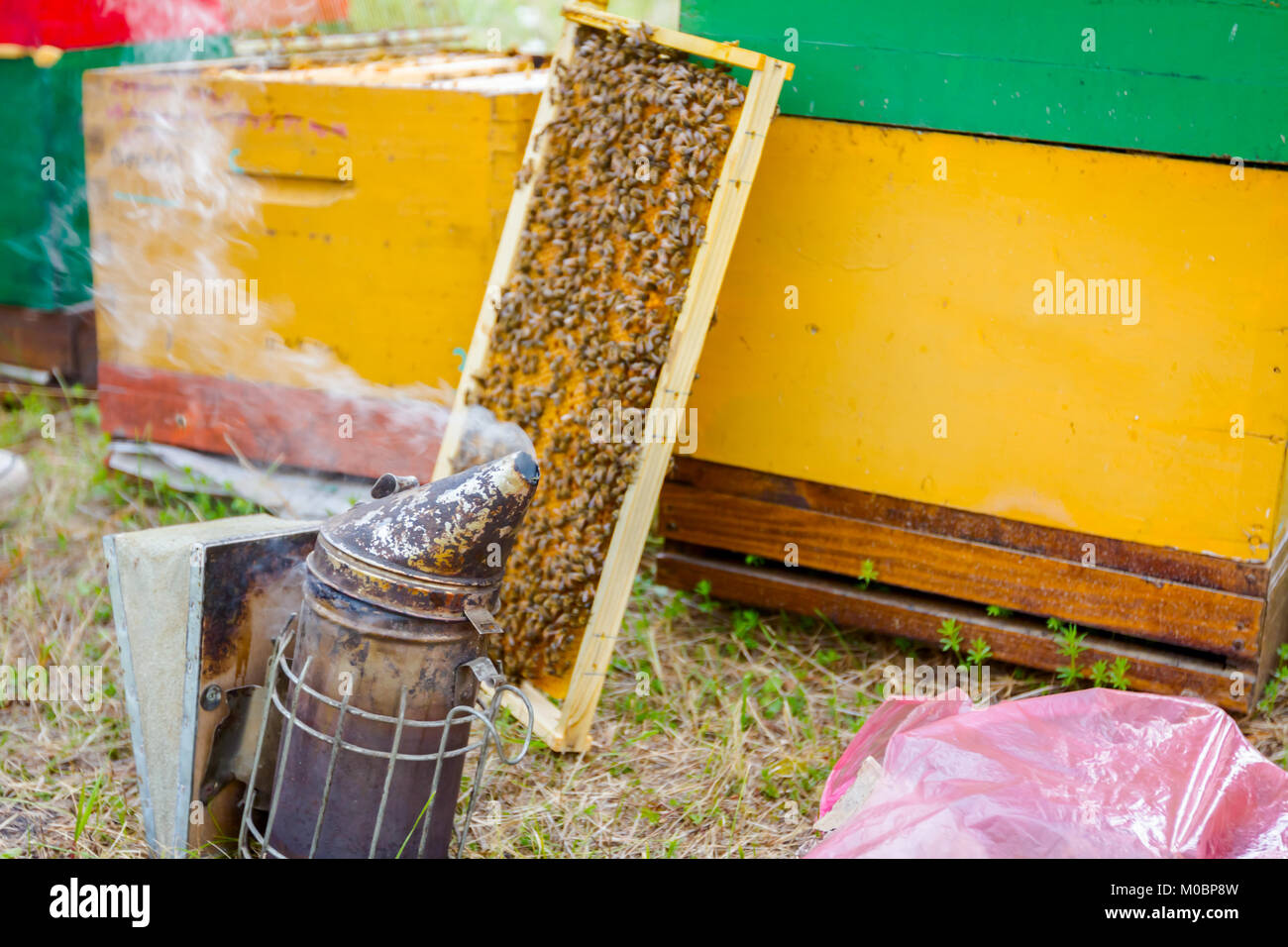 Bee smoking hi-res stock photography and images - Alamy