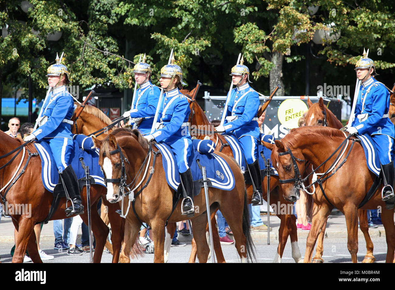 Swedish Army Uniform High Resolution Stock Photography and Images - Alamy