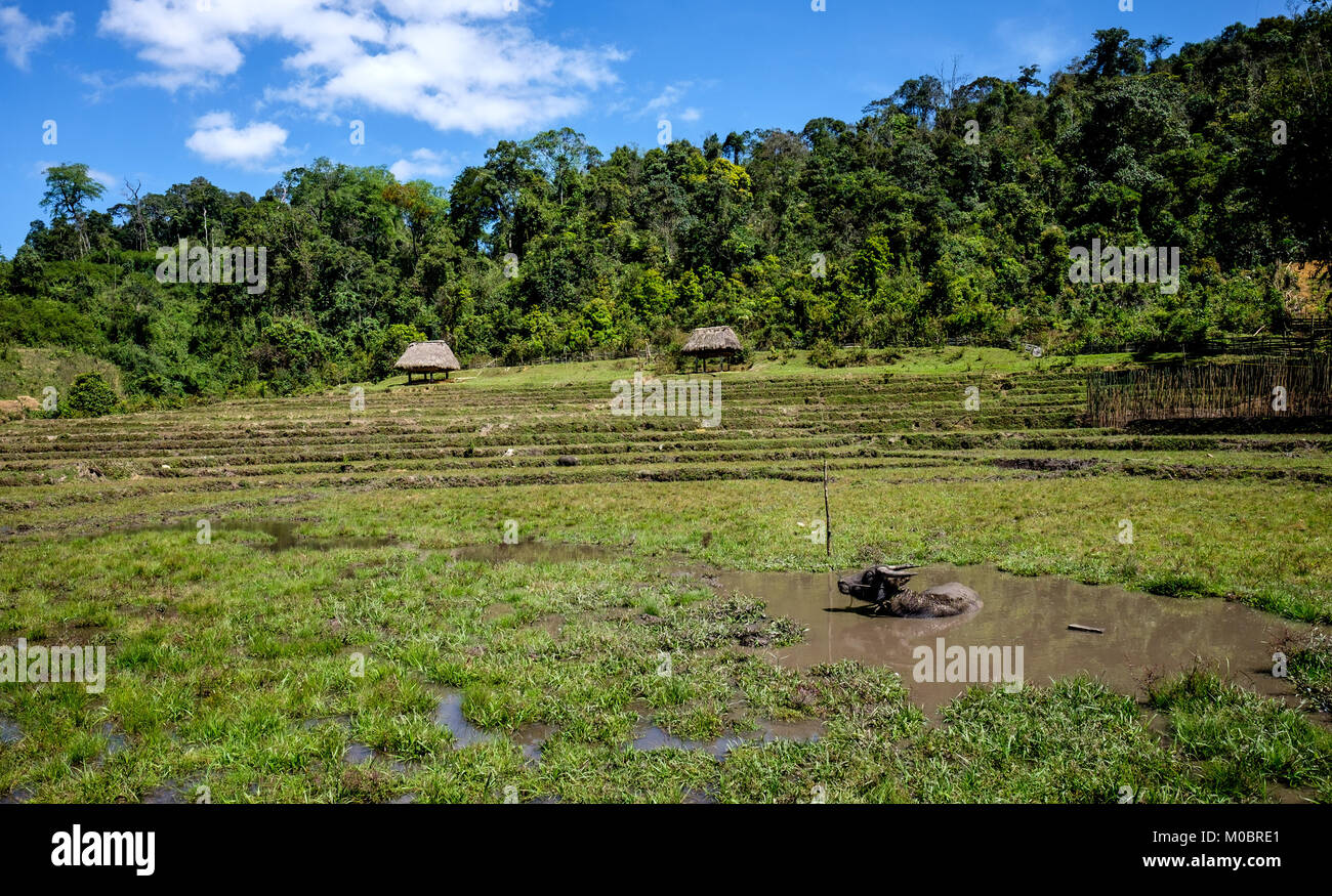 UXO Clearance Secong Province Laos Stock Photo - Alamy