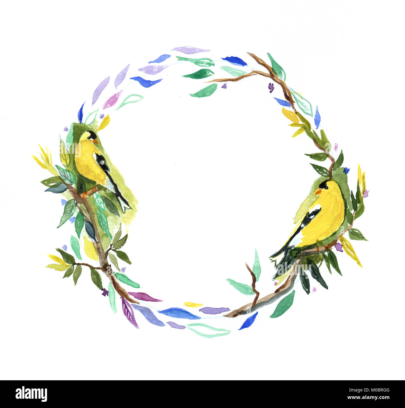 Beautiful bird frame hi-res stock photography and images - Alamy