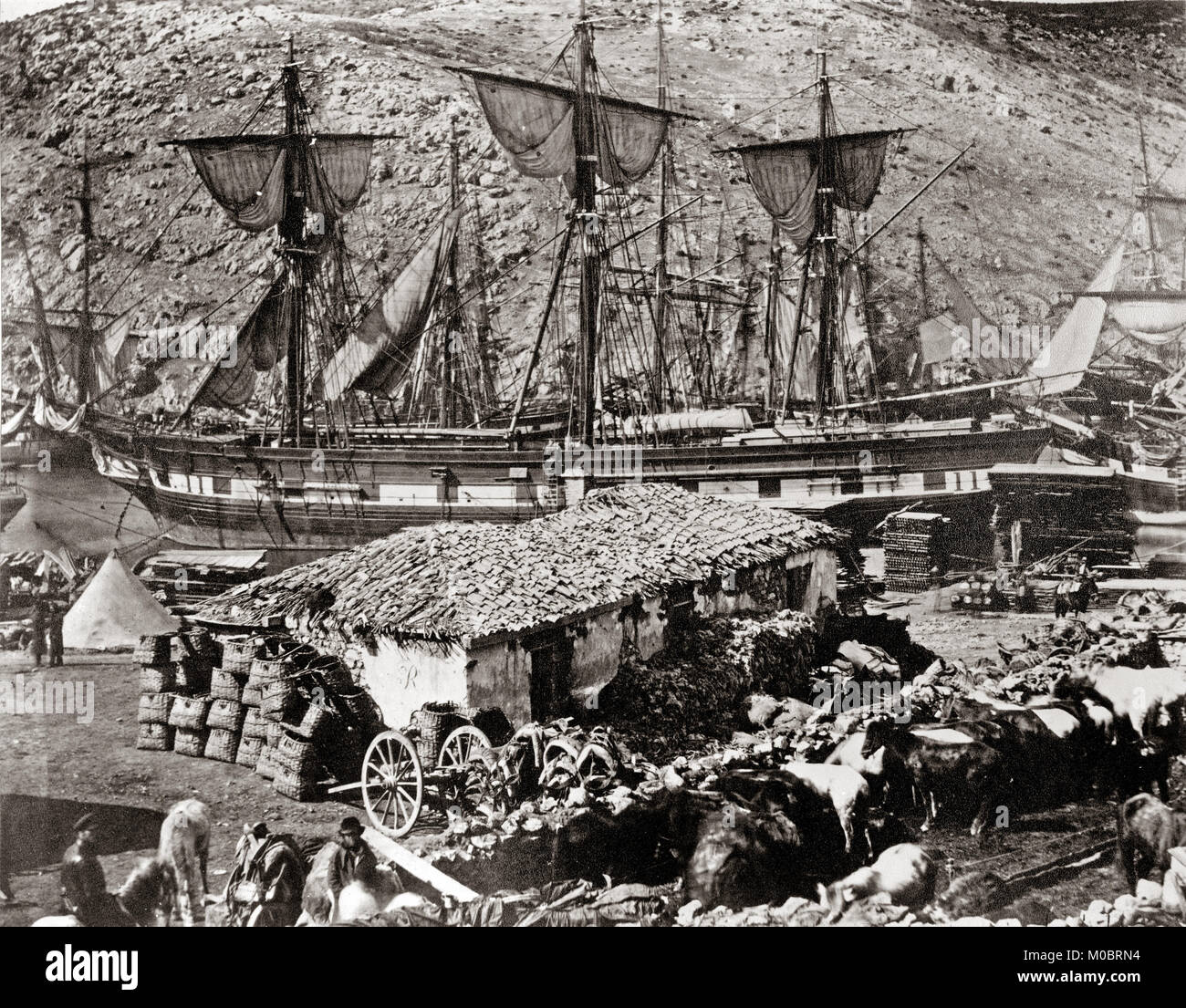 Cattle ships hi-res stock photography and images - Alamy