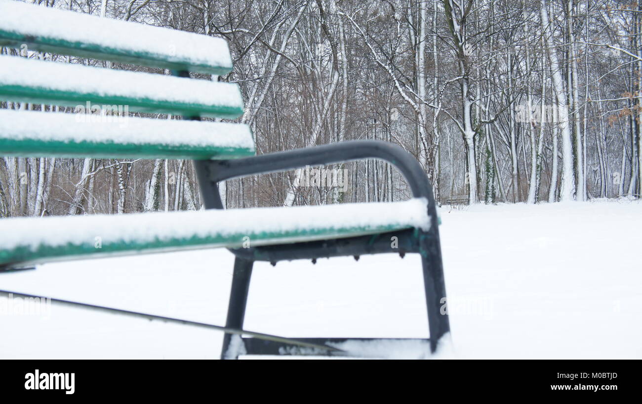 Snow on the bench in winter in park. Tree back ground Stock Photo - Alamy