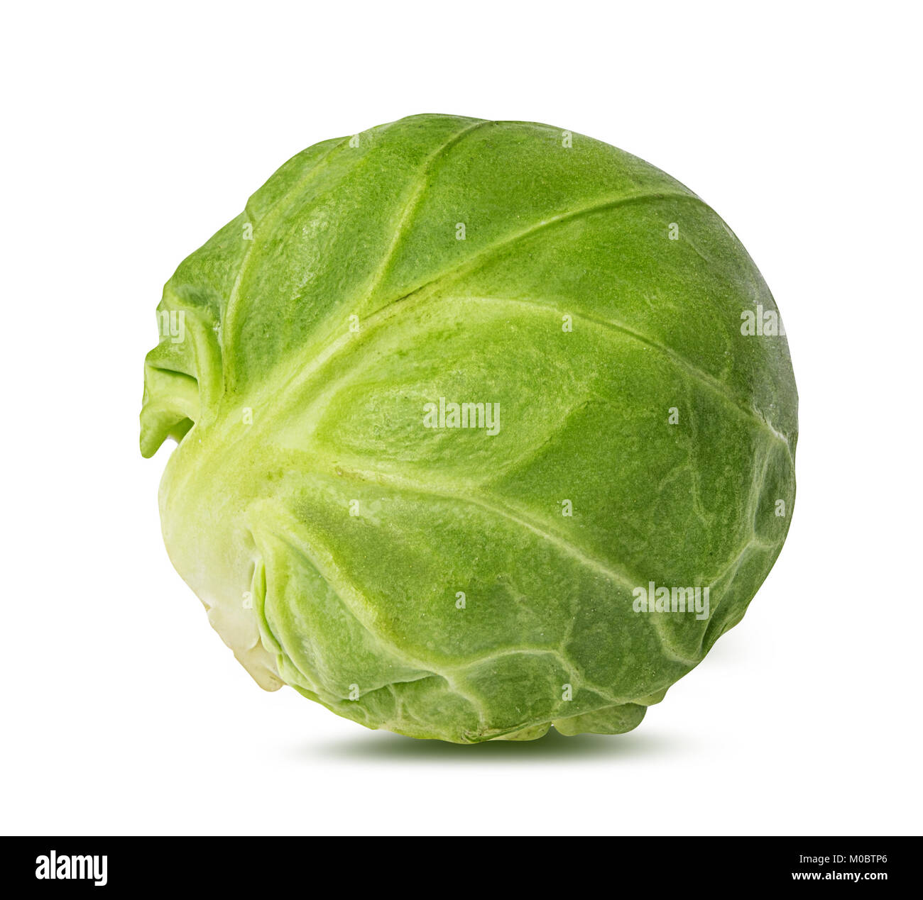 Brussels sprouts isolated on white background Stock Photo - Alamy