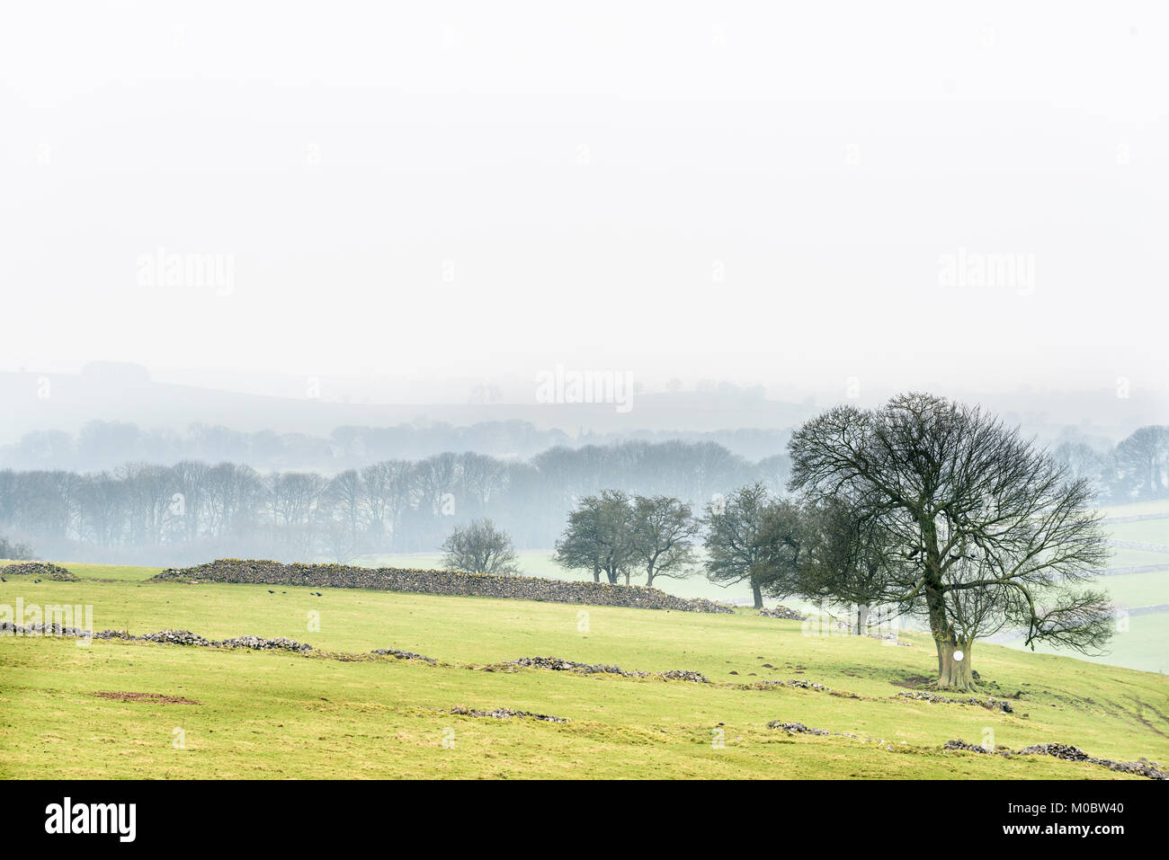 Grazing land on a rainy, misty day, as seen from the Tissington trail ...