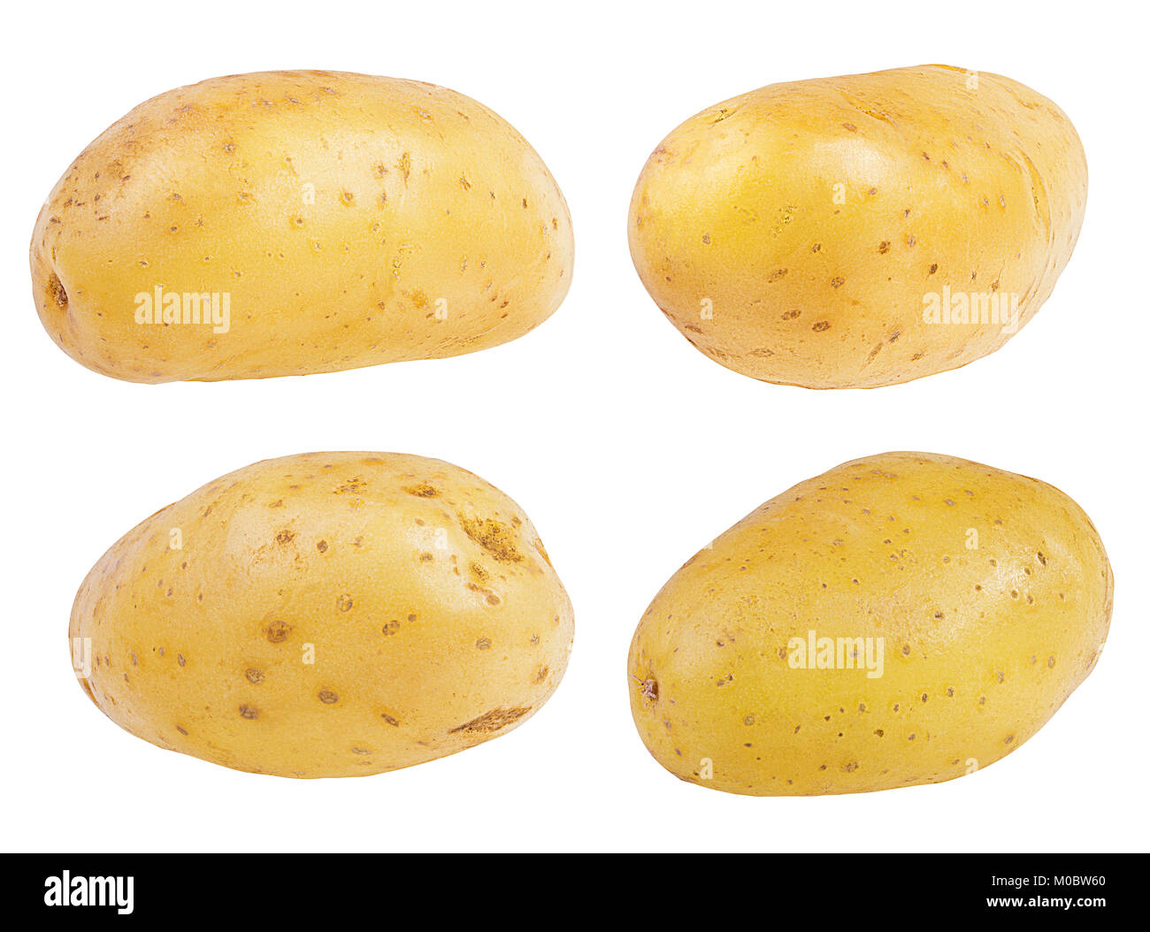 potato isolated on white background Stock Photo - Alamy