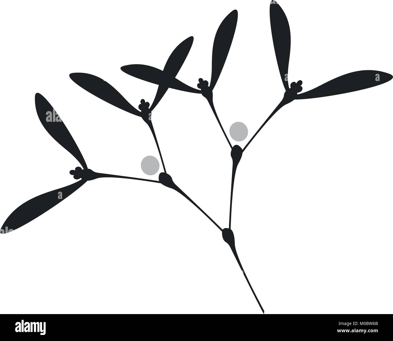 Mistletoe Silhouette Vector