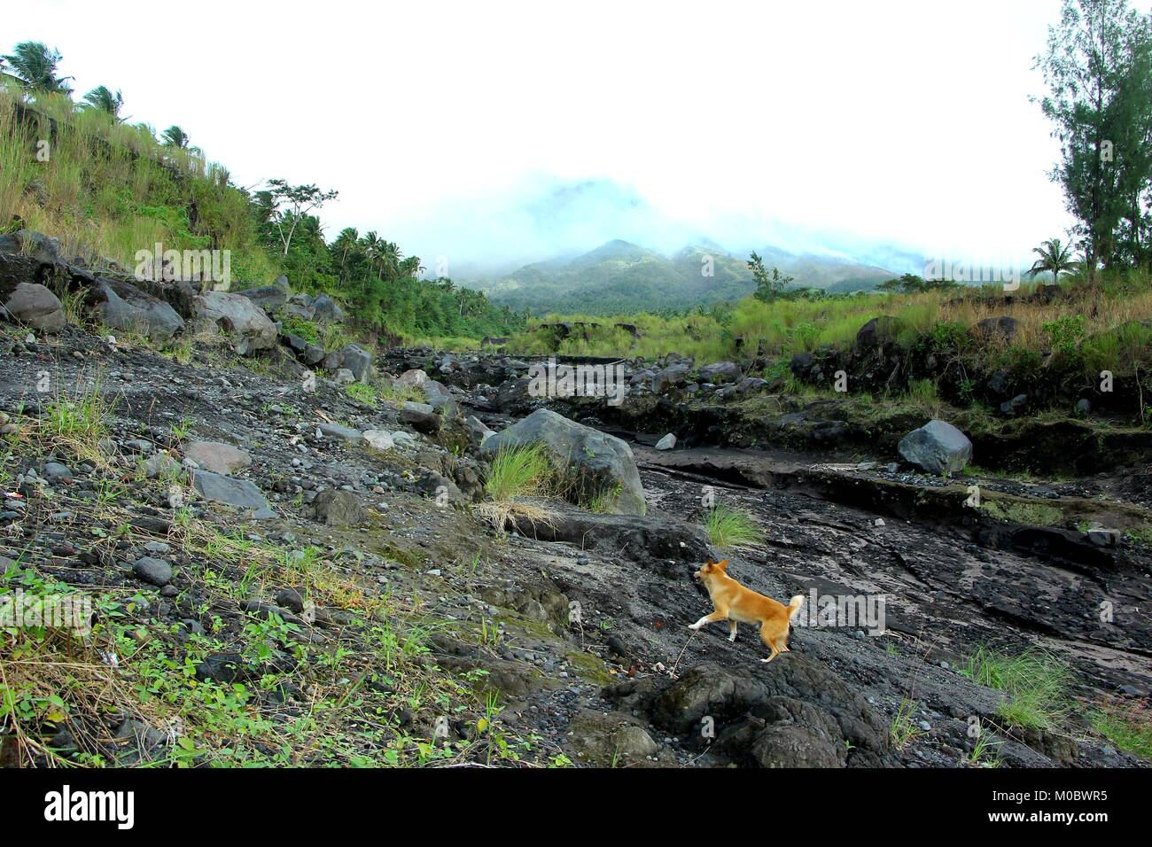 Philippines. 18th Jan, 2018. The lava flow pathway from Mt. Mayon ...