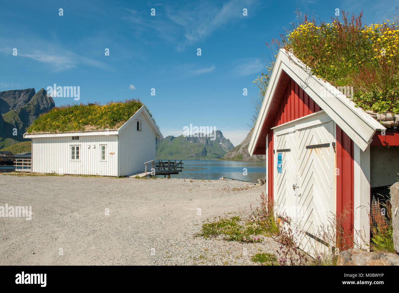 Traditional rural building in coast landscape on Lofoten islands in ...
