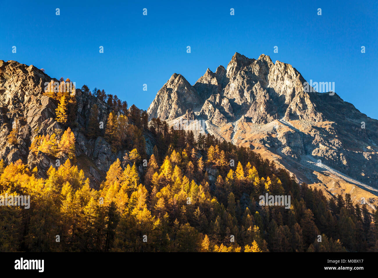 Autumn trees in swiss alps hi-res stock photography and images - Alamy