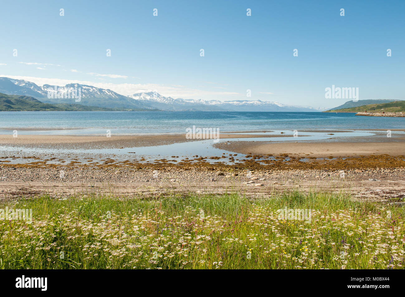 View from Bjerkvik during summer towards Ofotfjord and Narvik. This ...