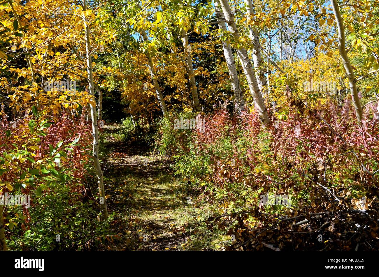Changing colors of seasons hi-res stock photography and images - Alamy