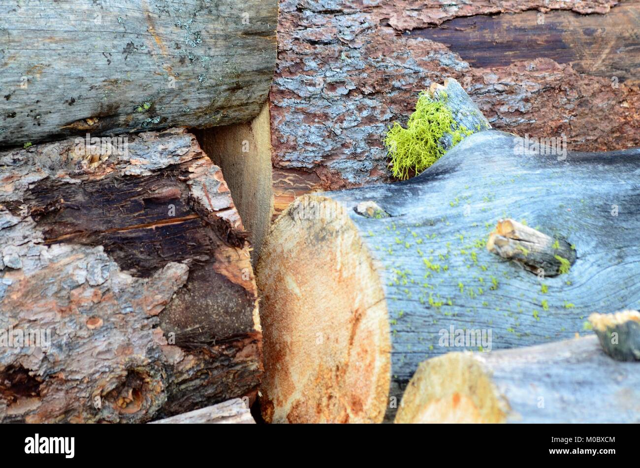 Blocked fire wood hi-res stock photography and images - Alamy