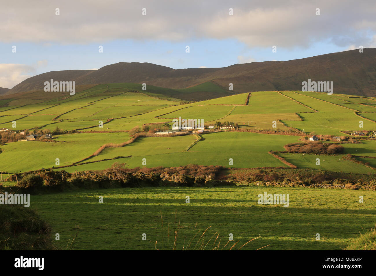 The Wild Unspoiled Landscape of Ireland Stock Photo - Alamy