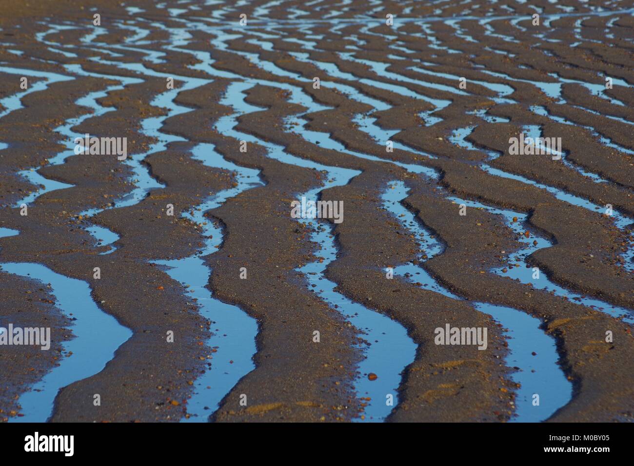 Symmetrical Parallel Wave Formed Ripple Marks in Littoral Beach Sand ...