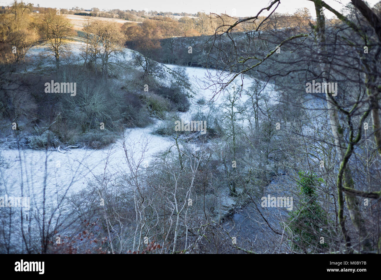 River almond hi-res stock photography and images - Alamy