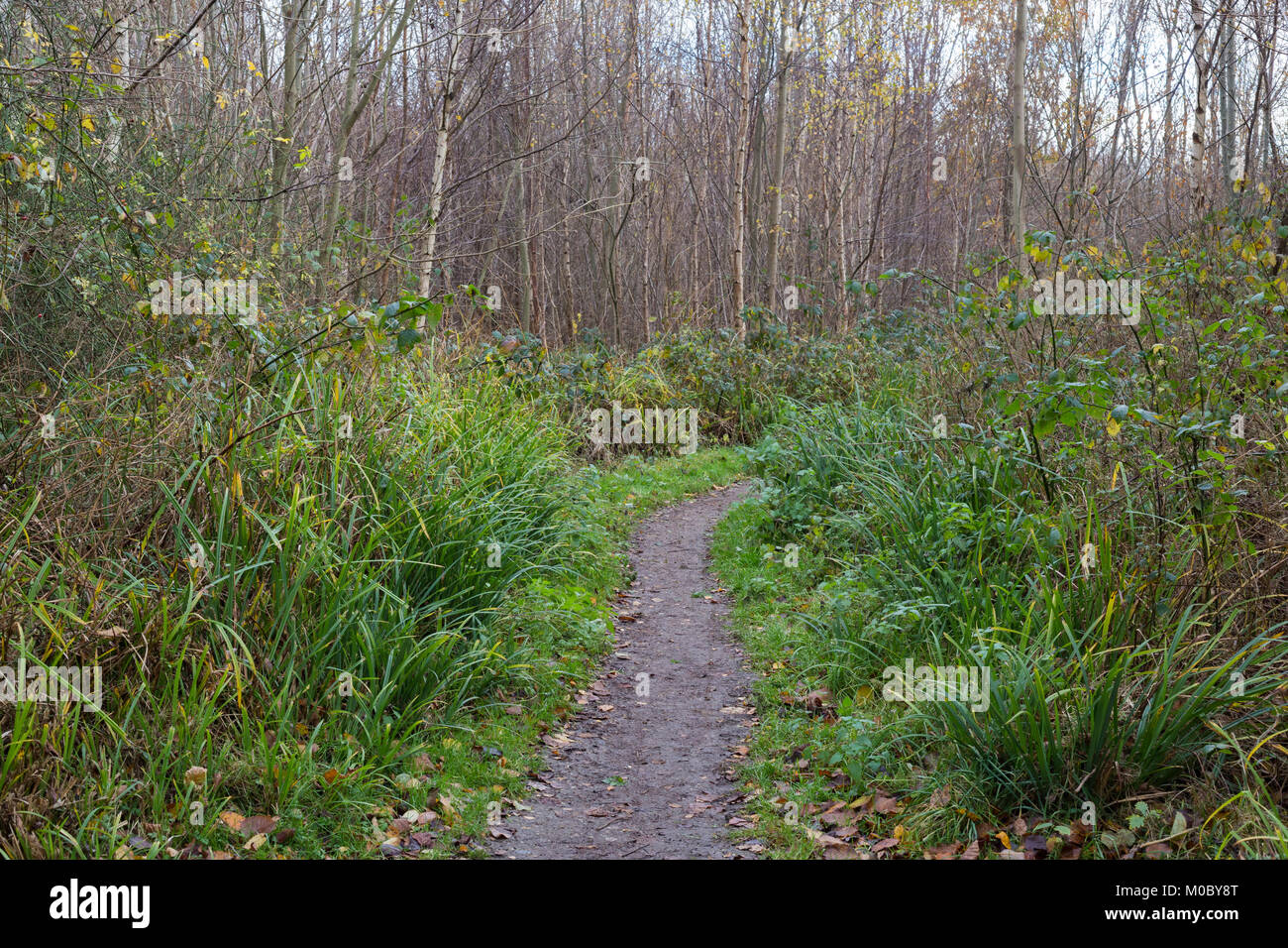 Winding footpath hi-res stock photography and images - Alamy