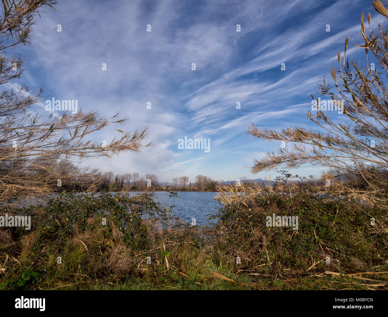 Bozi hi-res stock photography and images - Alamy