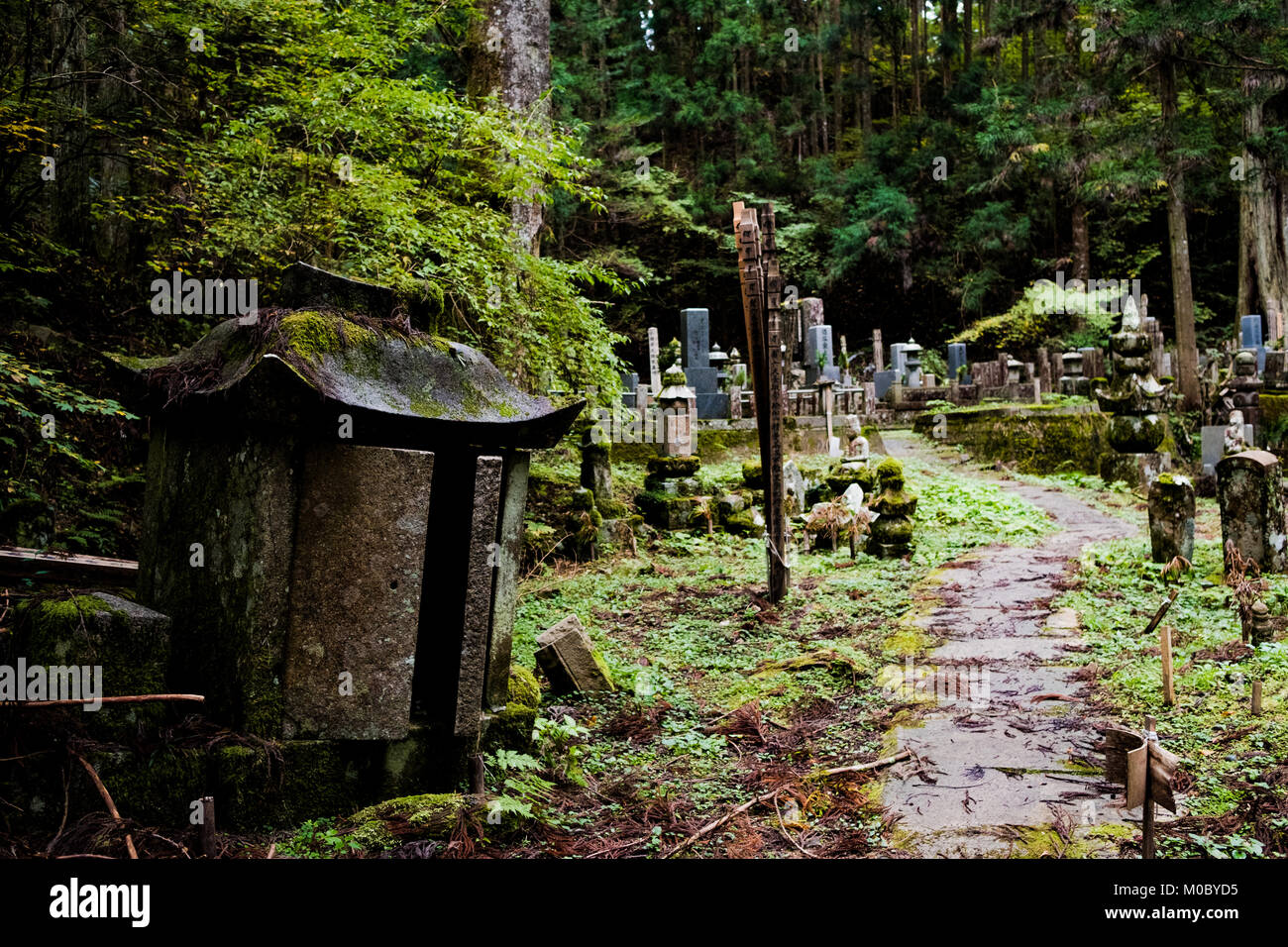 Open tomb hi-res stock photography and images - Alamy