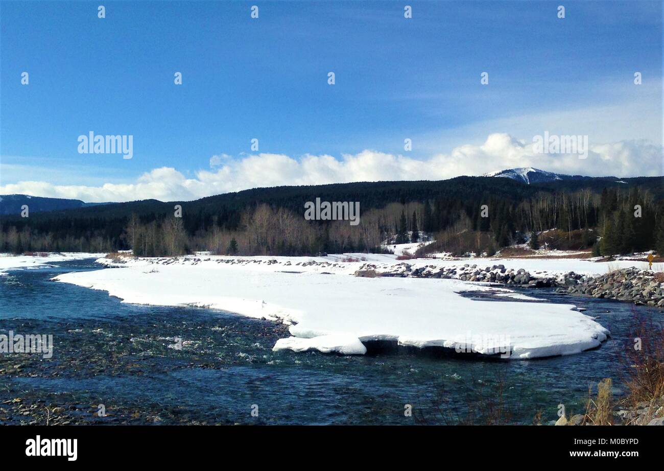 Elbow river near Calgary, Canada Alberta Stock Photo - Alamy