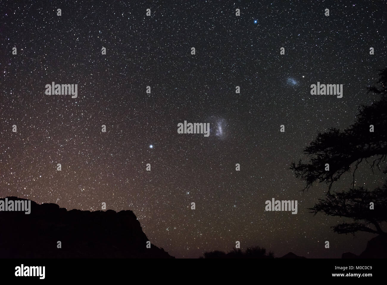 Magellanic Clouds astro starry sky, Namibian night, Africa. Acacia ...