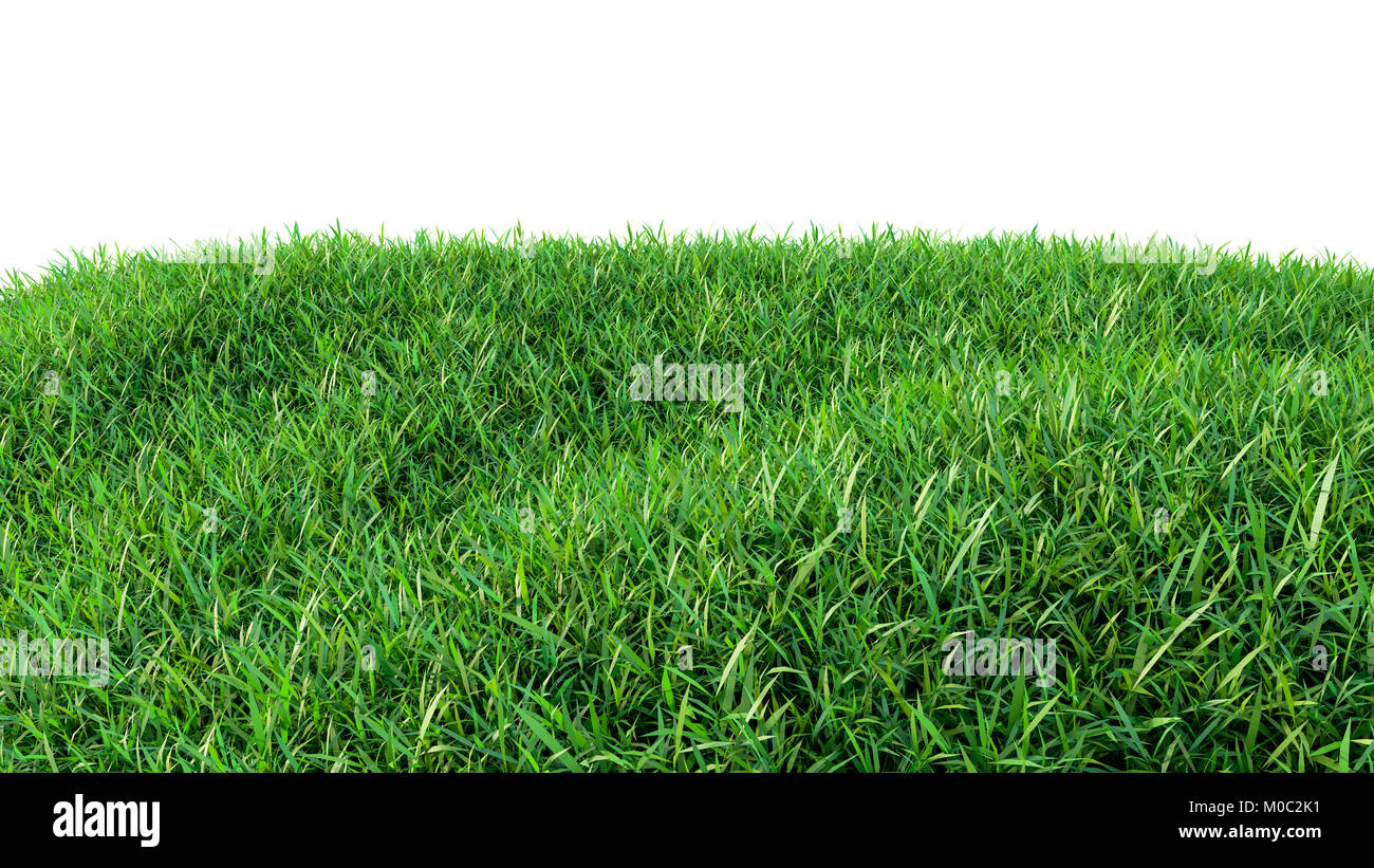 Green grass field isolated on white background Stock Photo - Alamy