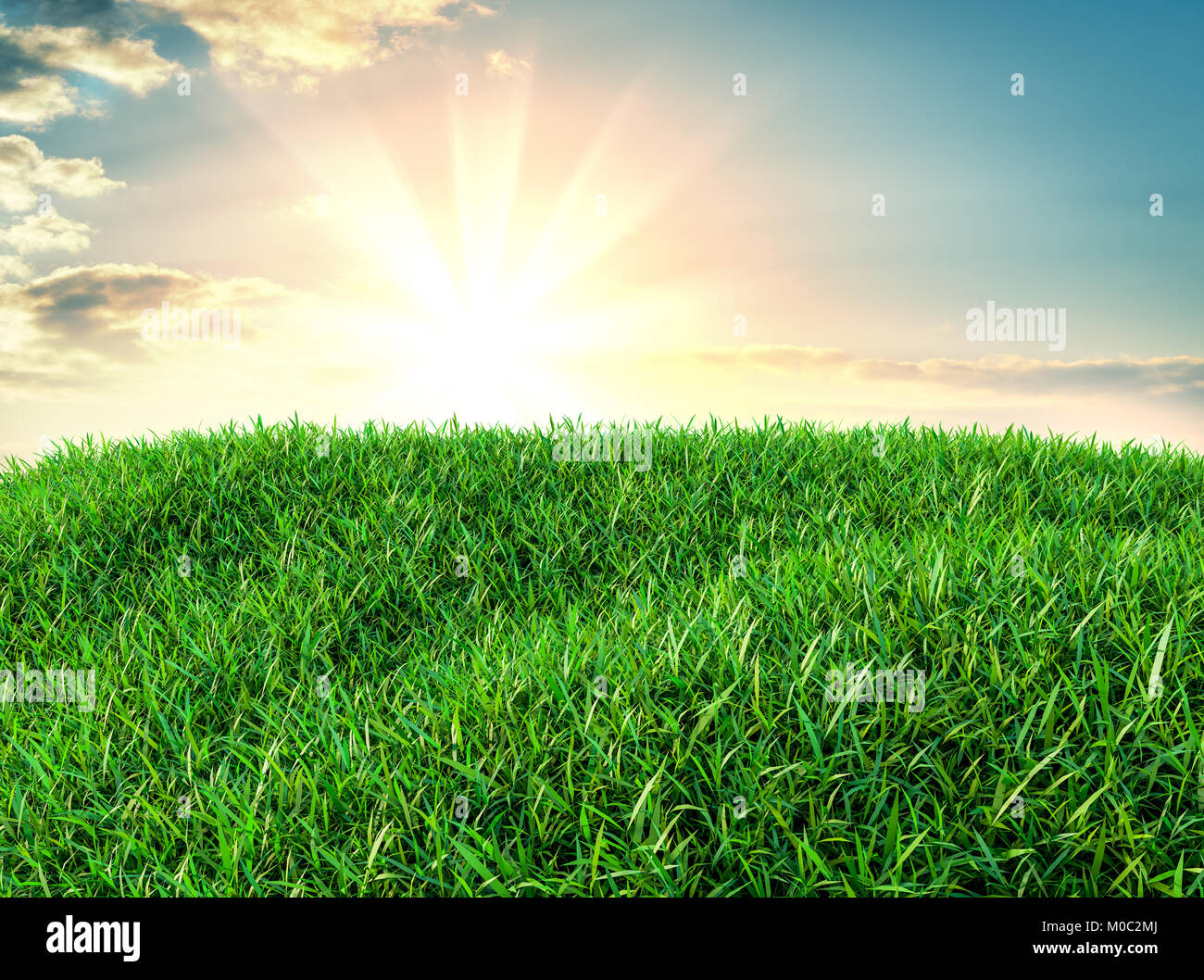 Sky and grass background, fresh green fields Stock Photo - Alamy