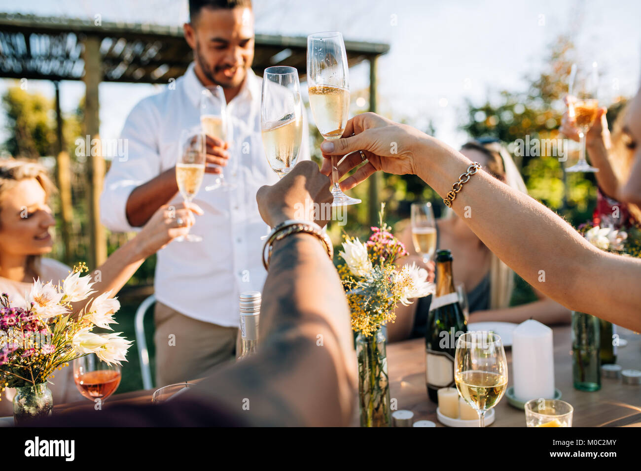 Group of people toasting drinks at a party. Young friends having drinks ...