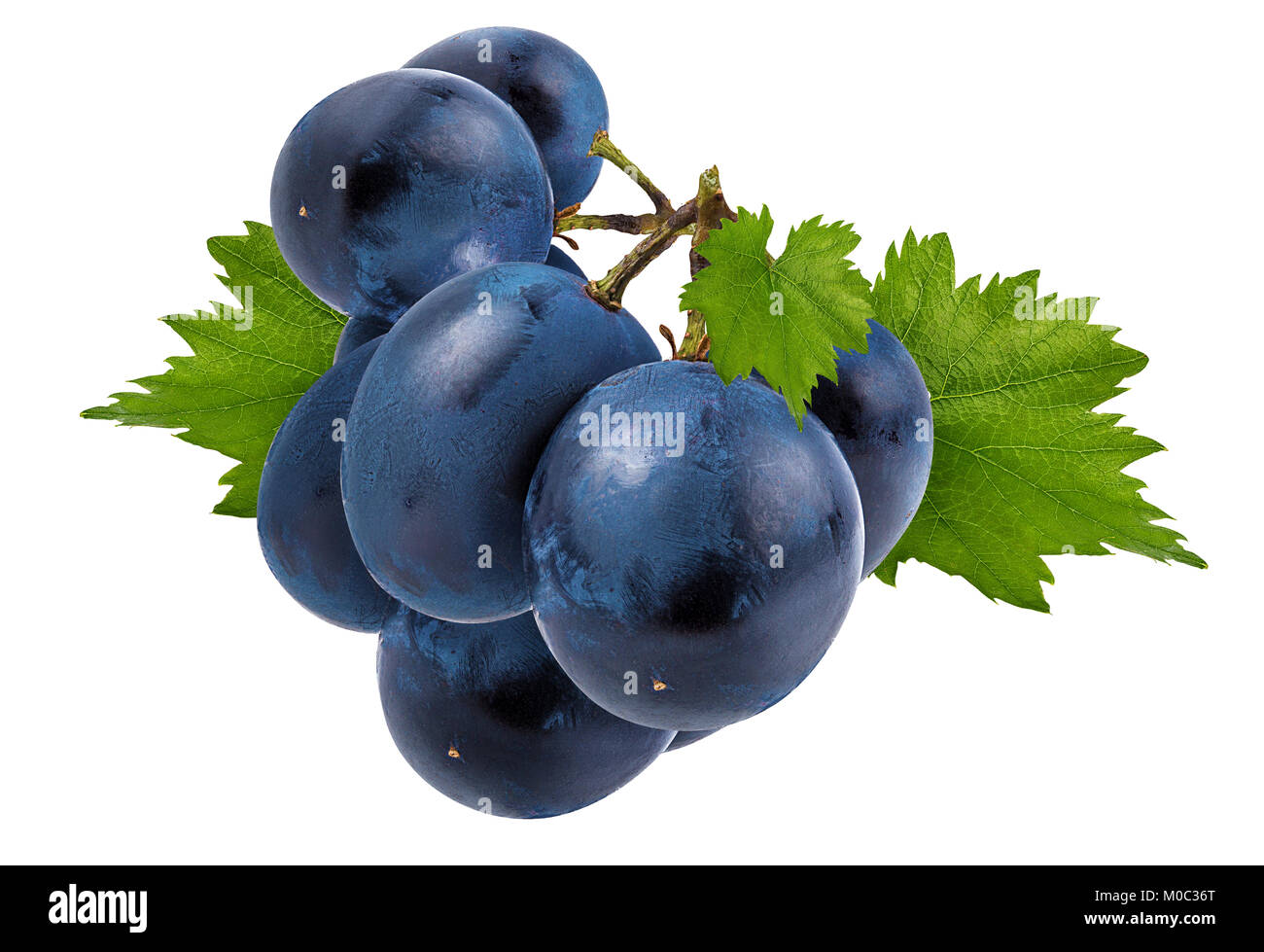 Fresh grapes isolated on white background Stock Photo - Alamy