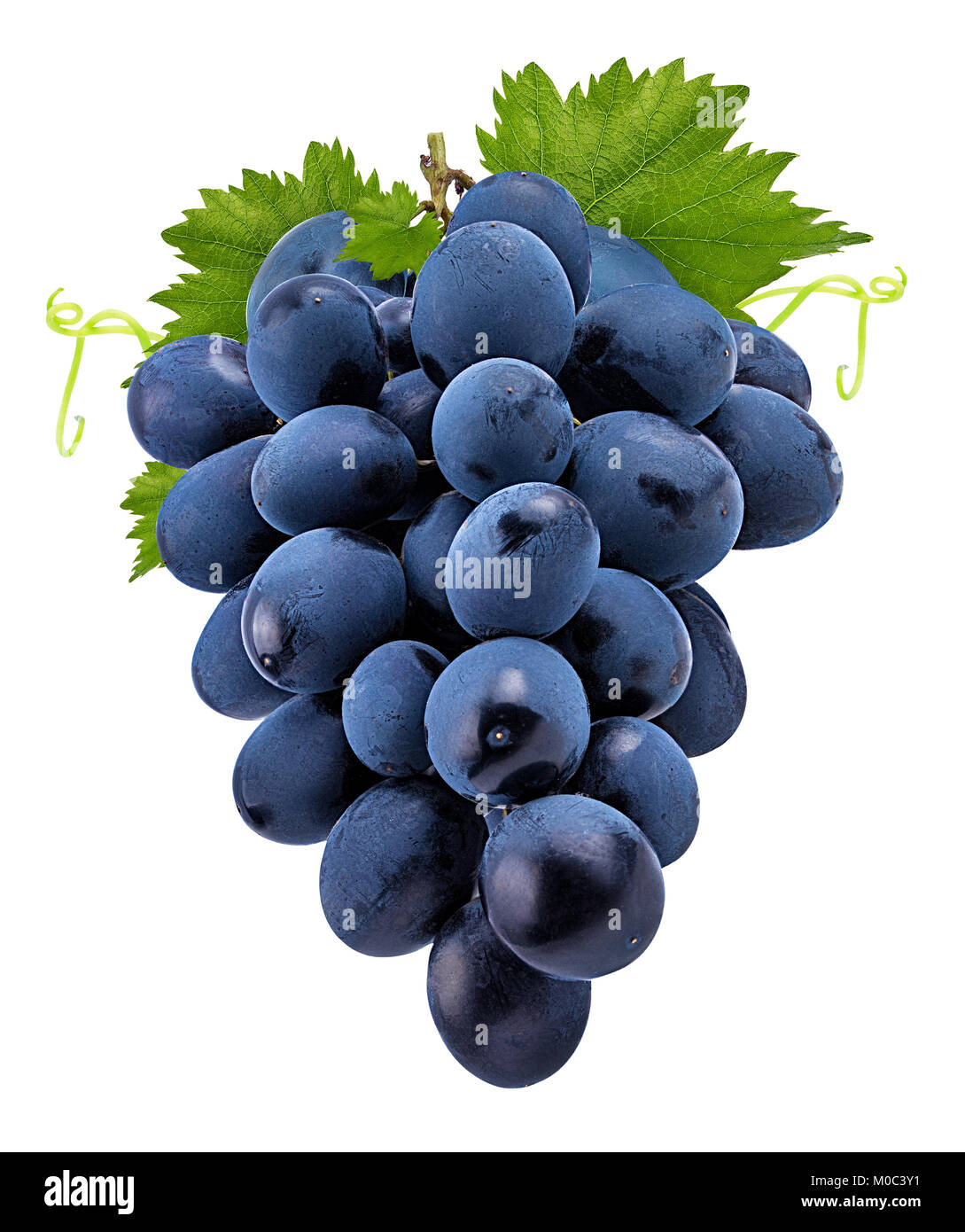 Fresh grapes isolated on white background Stock Photo - Alamy