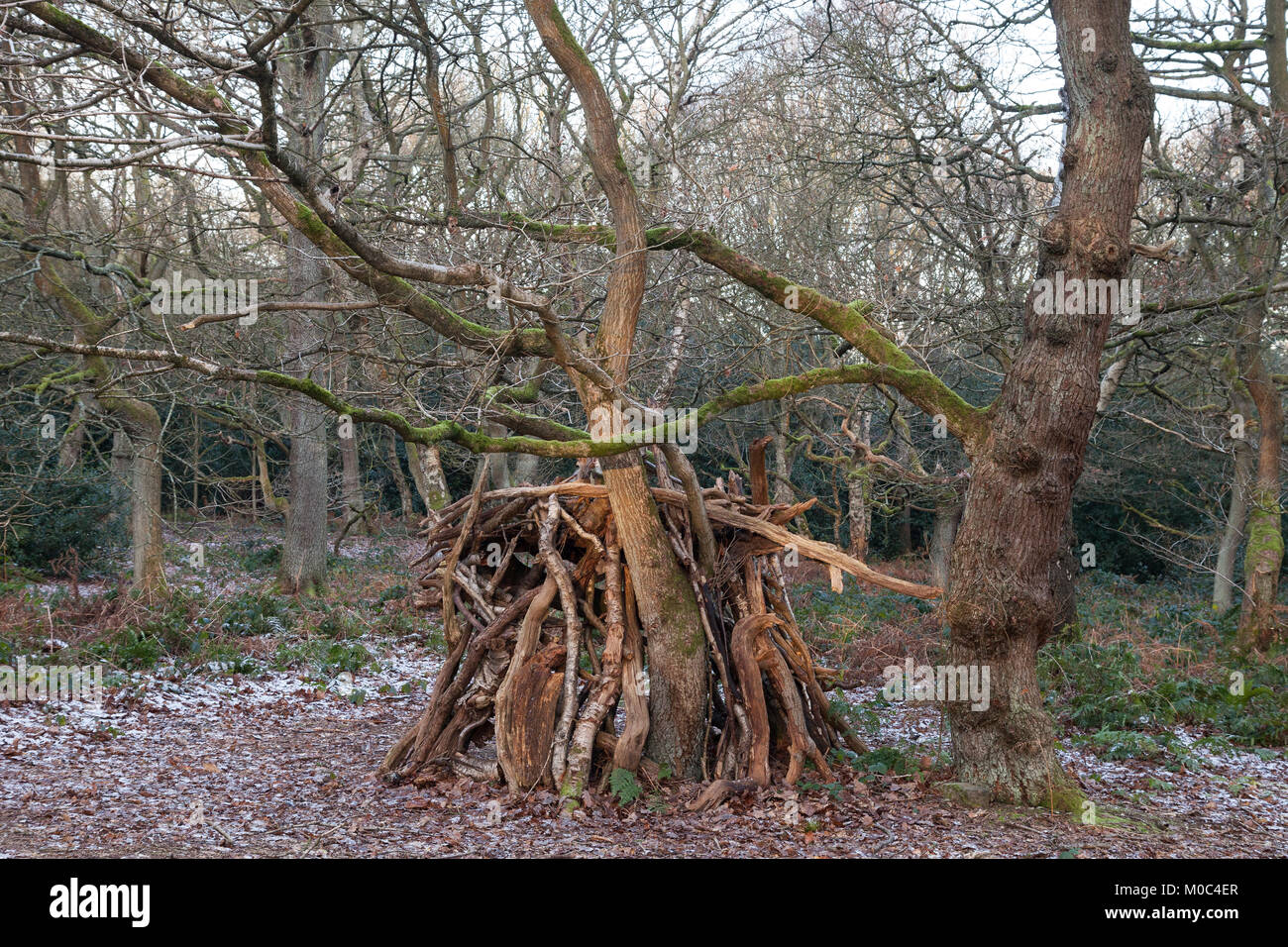 Den made of branches hi-res stock photography and images - Alamy