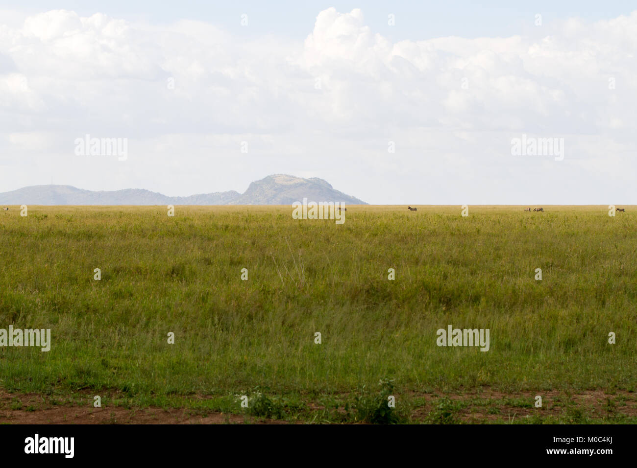 Serengeti National Park, Tanzanian national park in the Serengeti ...
