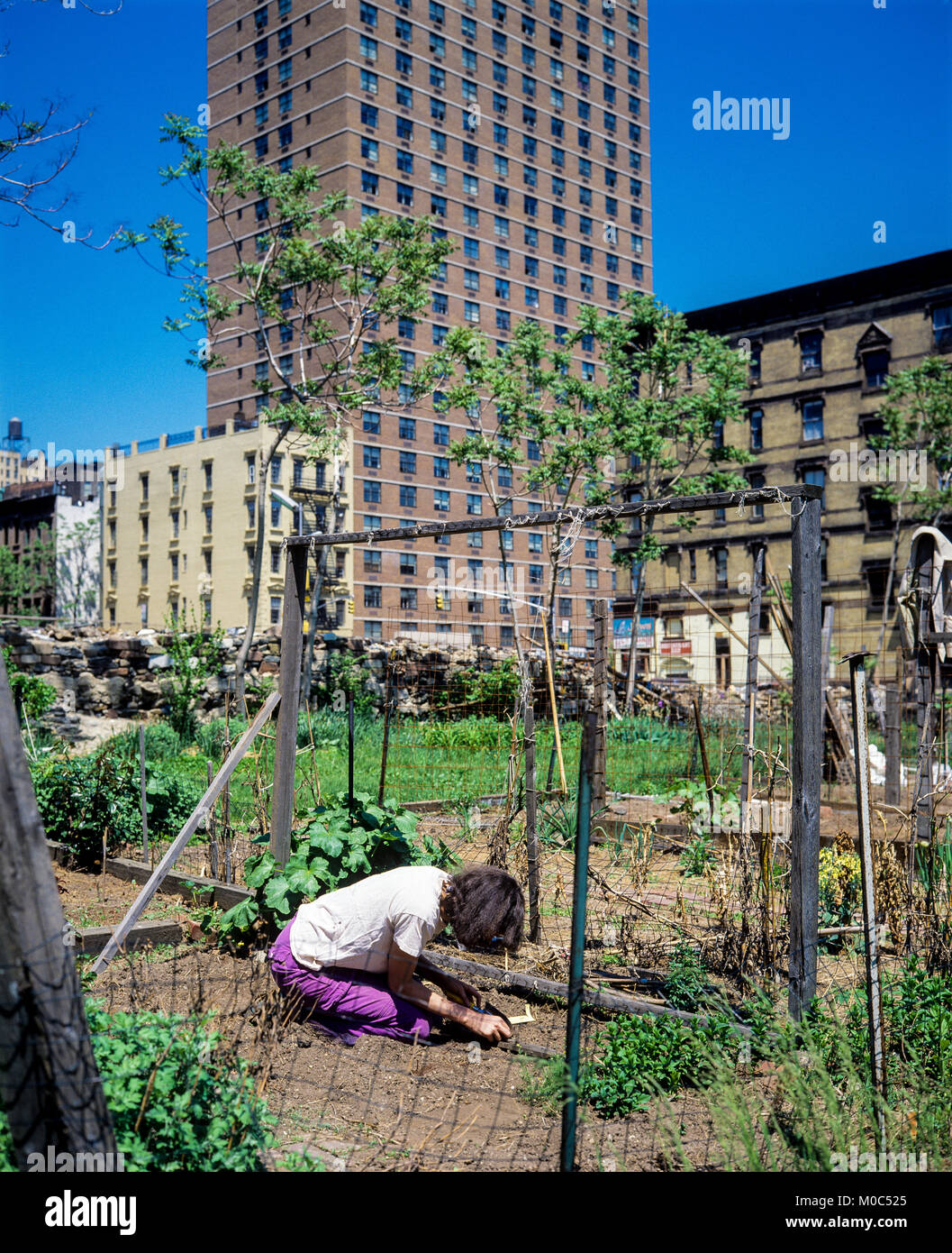 Woman neighbour garden hi-res stock photography and images - Alamy