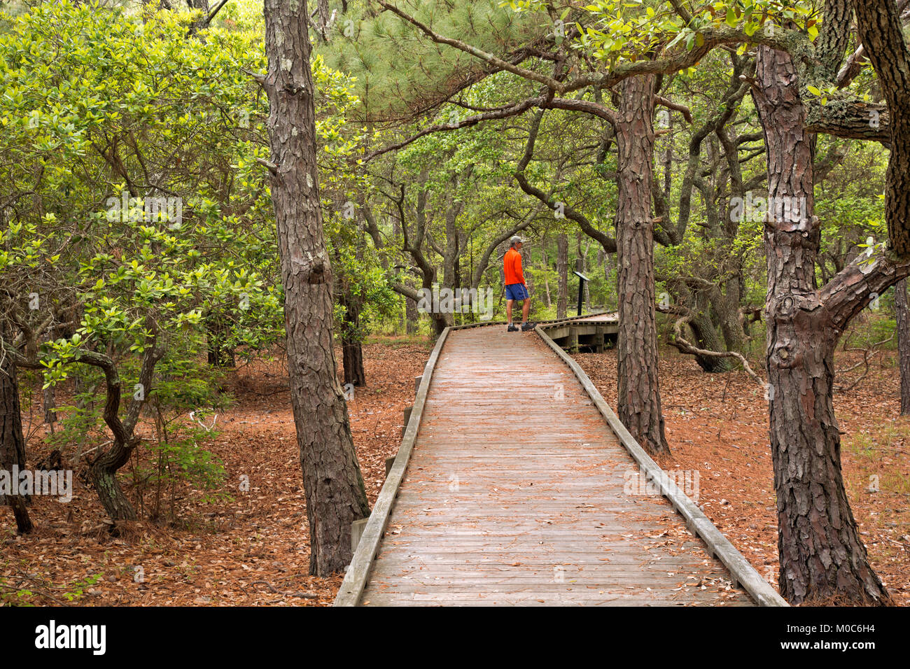 Forest habitat reserve hi-res stock photography and images - Alamy