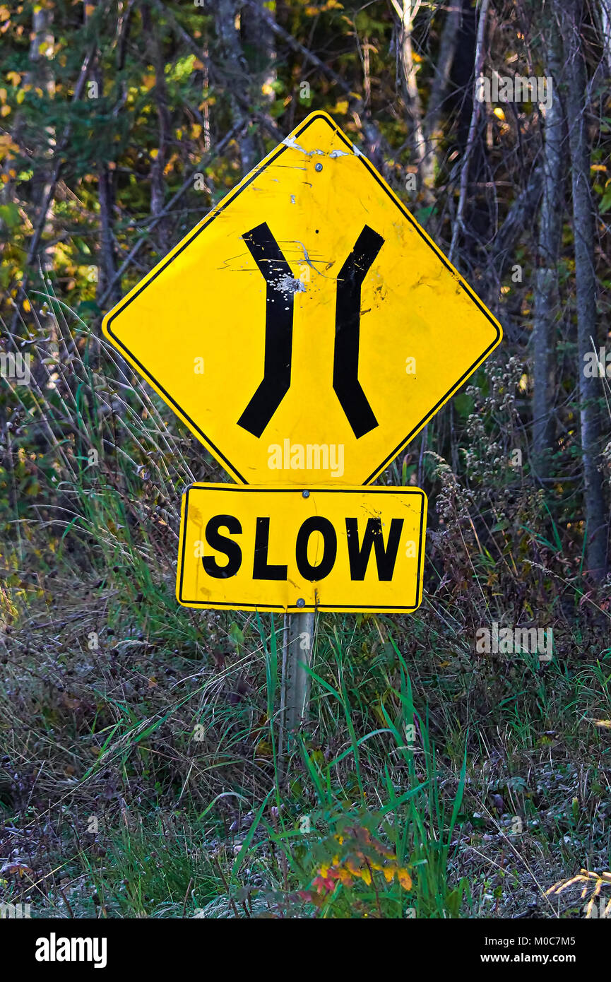 A Slow Narrow Bridge sign with trees in the background Stock Photo - Alamy
