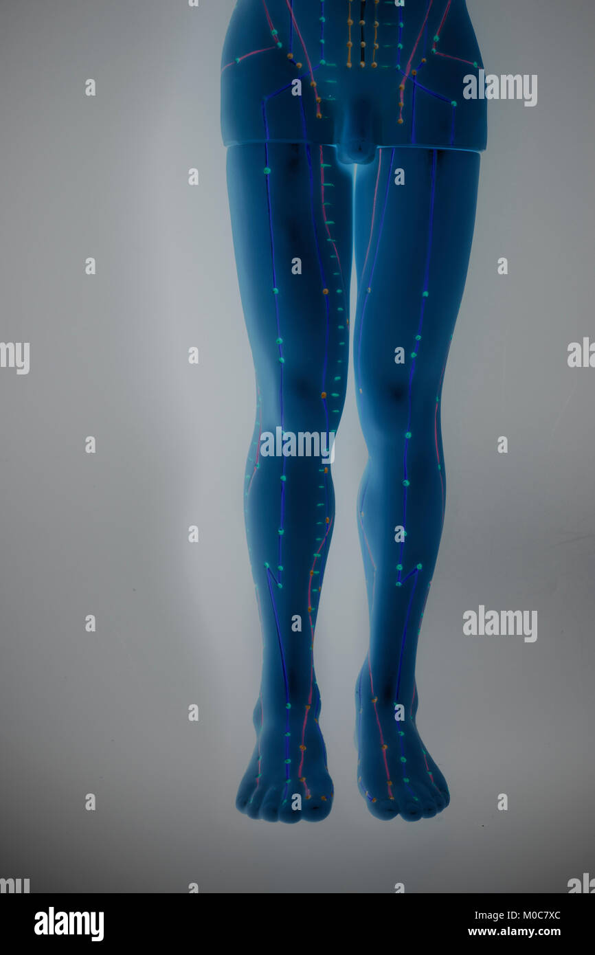 Acupuncture Legs High Resolution Stock Photography and Images - Alamy