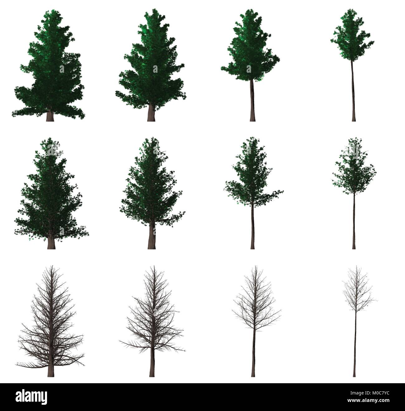 Yellow green pine tree Stock Vector Images - Alamy