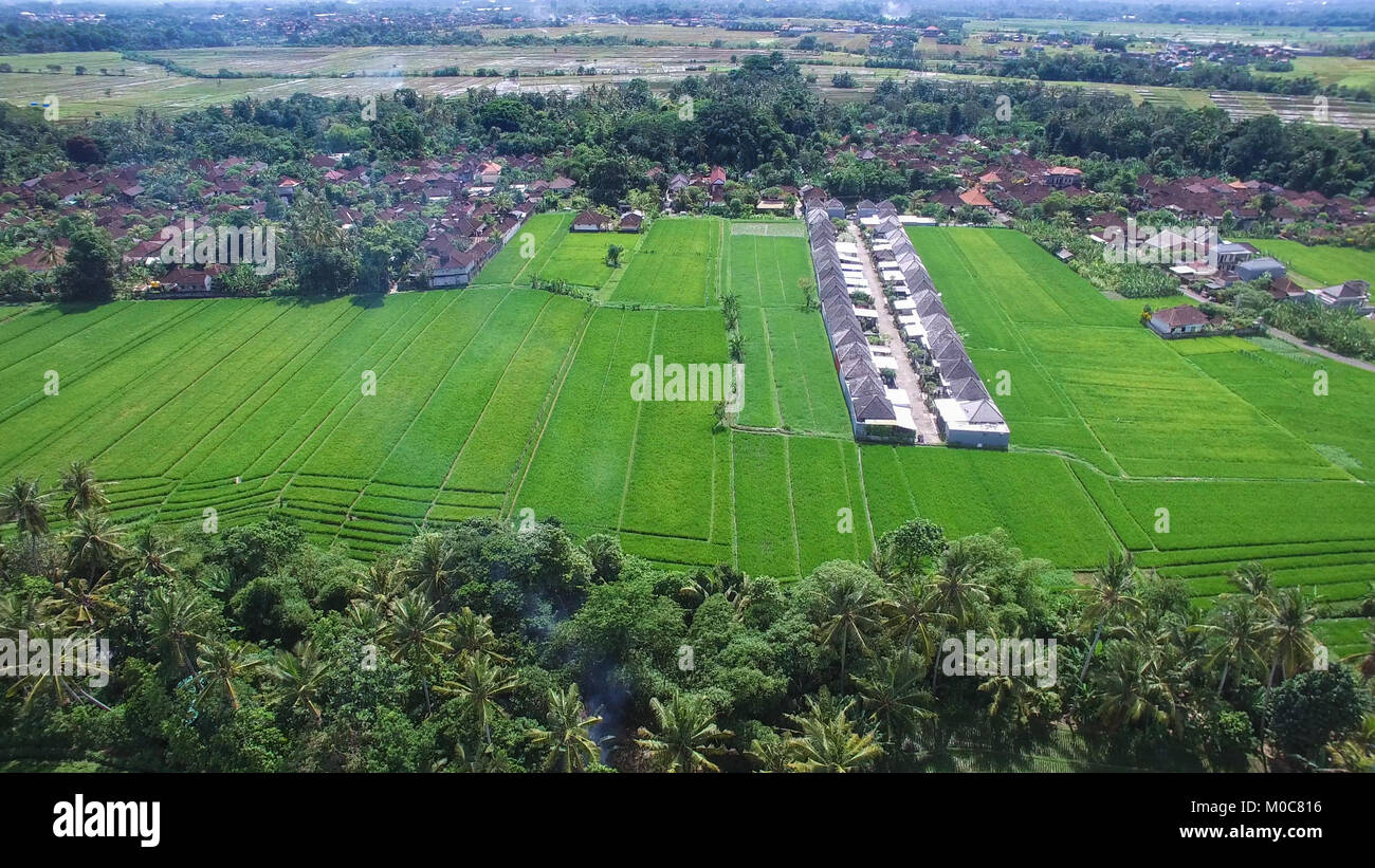 Paddy field in bali hi-res stock photography and images - Alamy